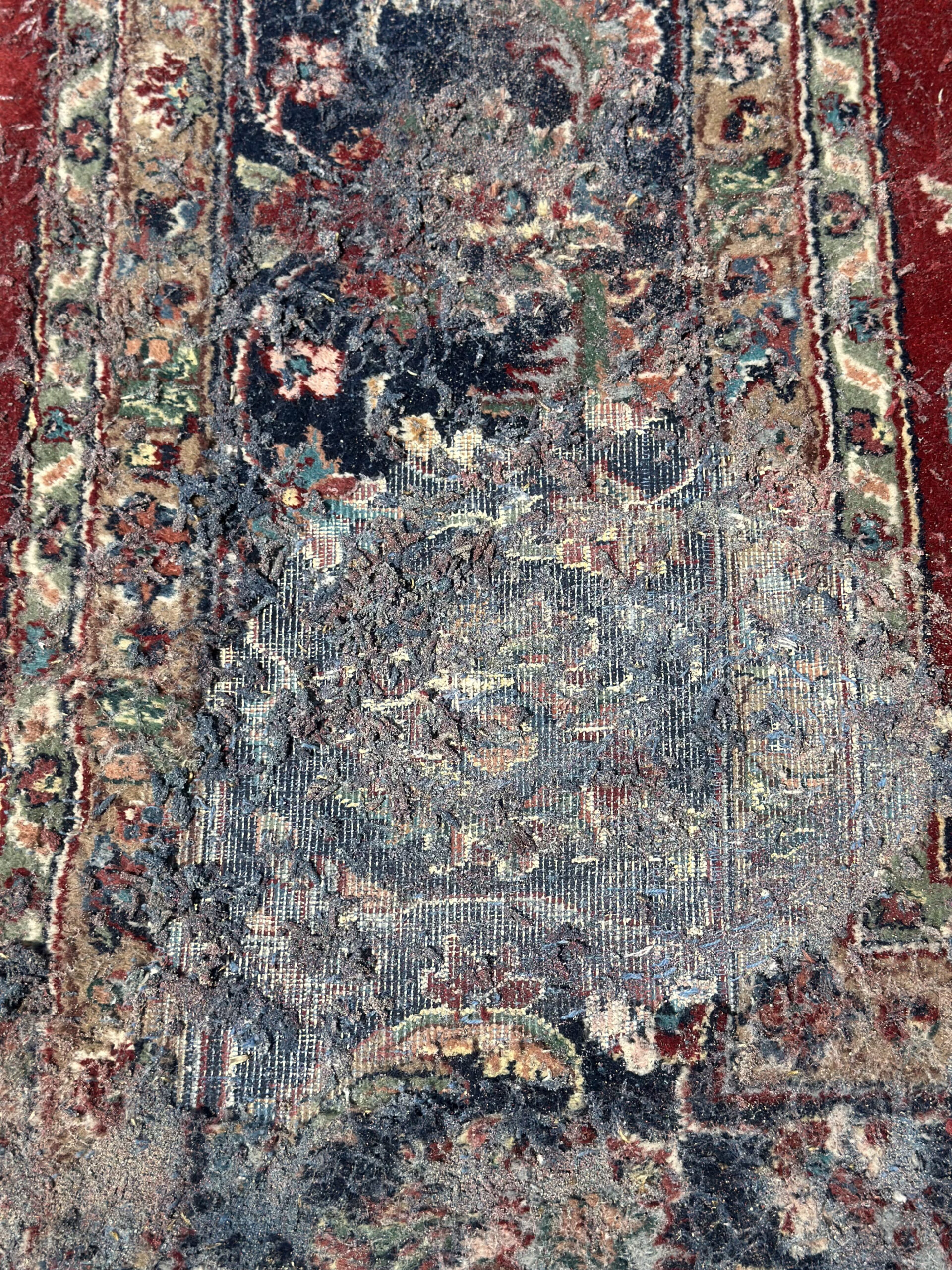 Moth Damage Rug Repair | Emergency Wool Rug Rescue Chicago – Ahmadi Rug